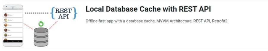 Local database cache with REST API