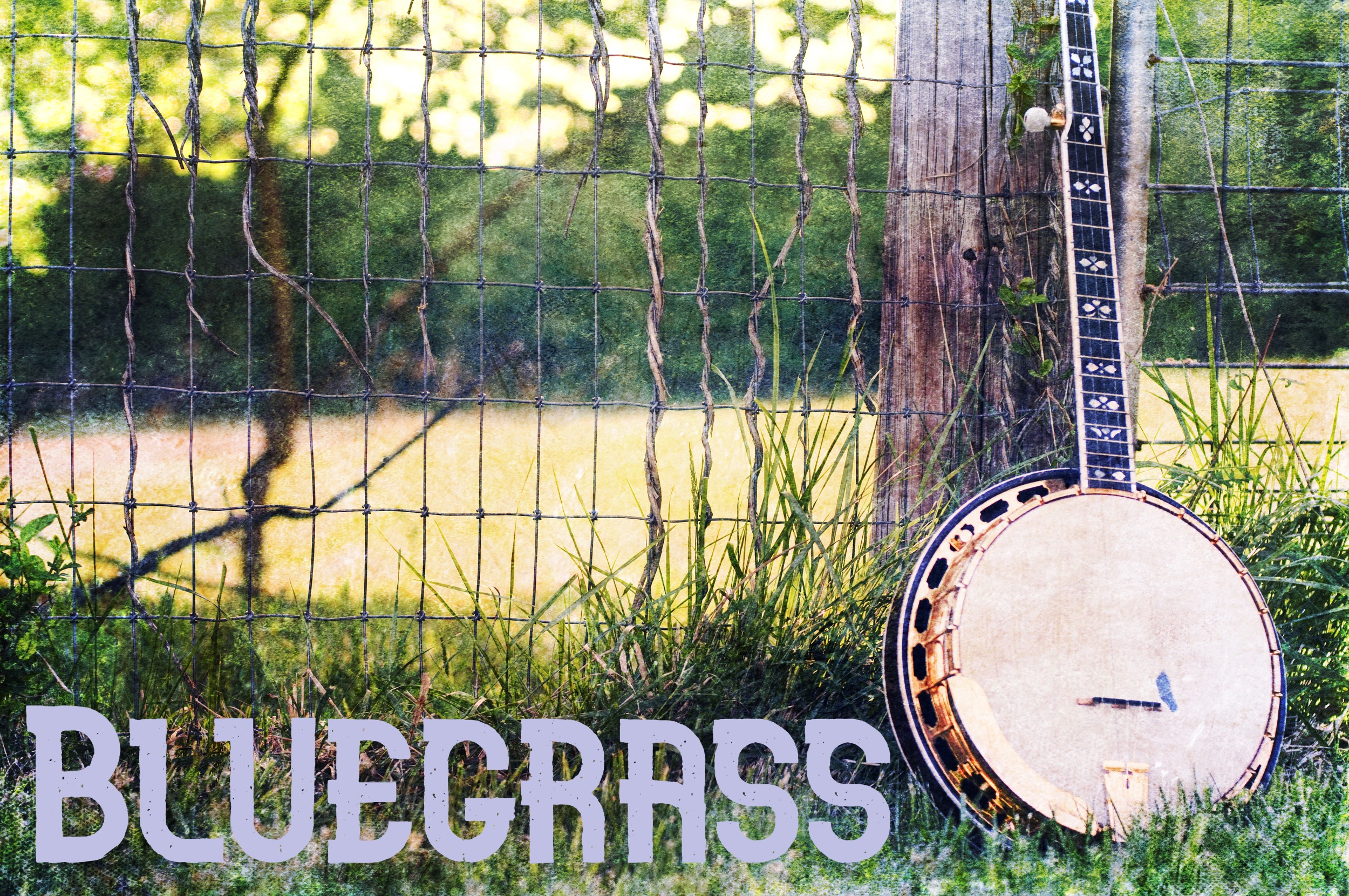 Men With Banjos (That Know How To Use Them) – Doyle's Space