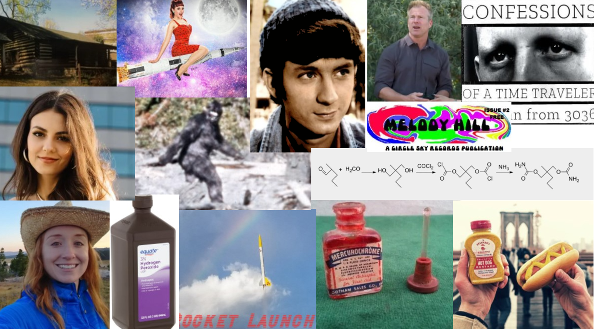 Most Popular Posts on Doyle’s Space for 2021 – Doyle's Space