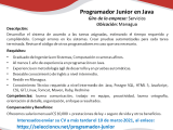 Programador Junior En Java Dpesa