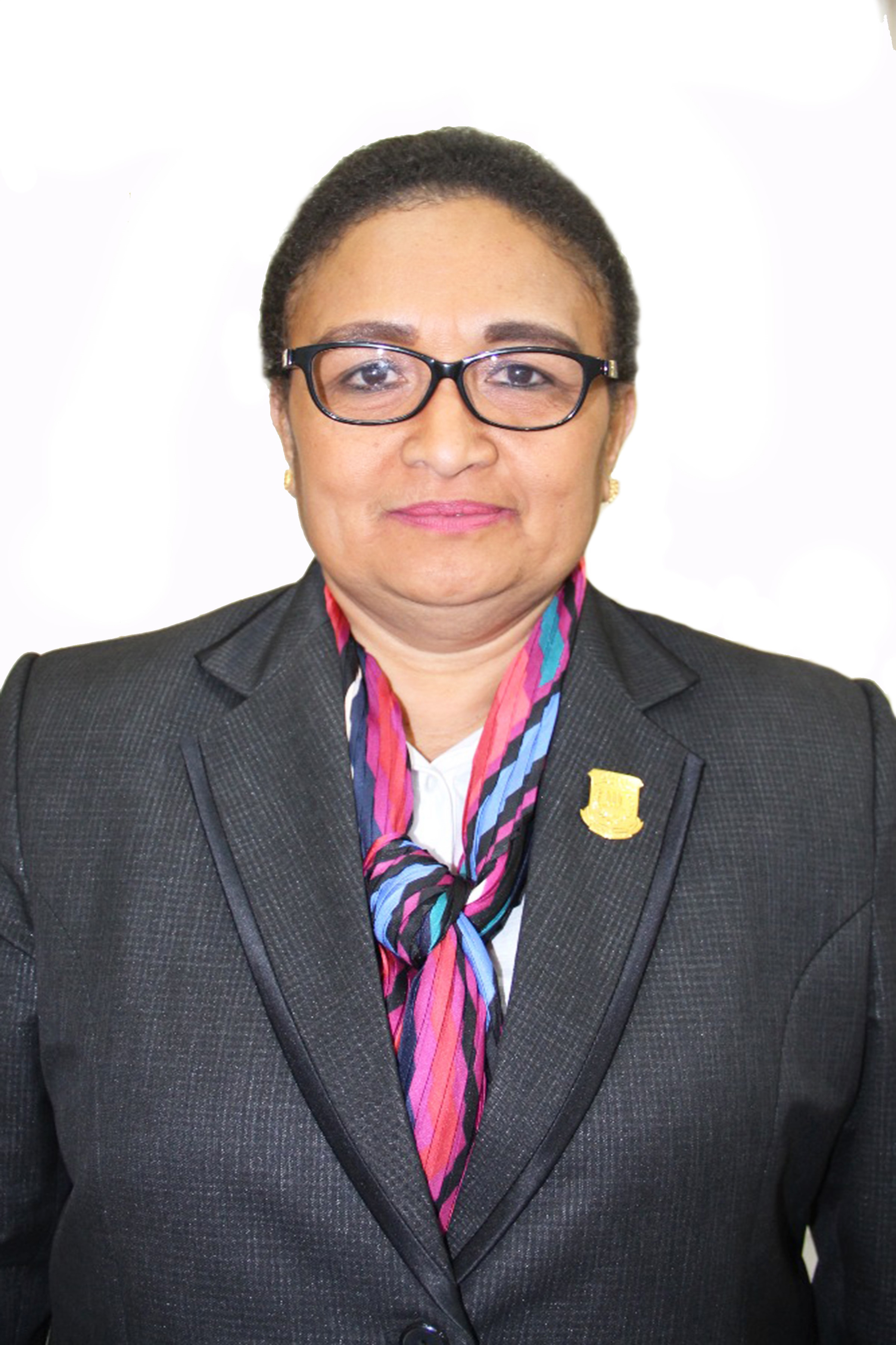 Profil Anggota DPRP Masa Jabatan 2019 -2024 - DEWAN PERWAKILAN RAKYAT PAPUA