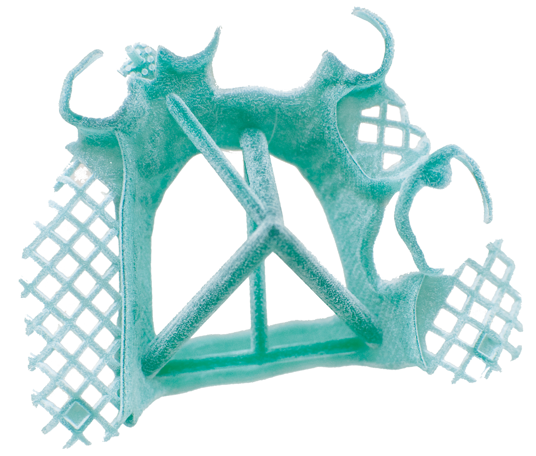 Cast Frame Partials – Dental Prosthetic Services