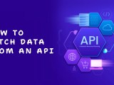 How To Fetch Data From An Api A Beginner S Guide