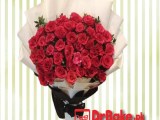 60 Fresh Roses Stems Drbake