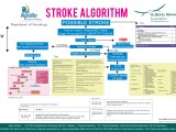 Stroke Algorithm Dr Bindu Menon Foundations