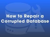 How To Repair A Corrupted Database Dreamit Host