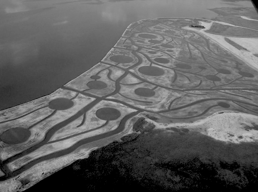 A Superthreat to the Gulf Coast's Lavaca Bay - DredgeWire : DredgeWire