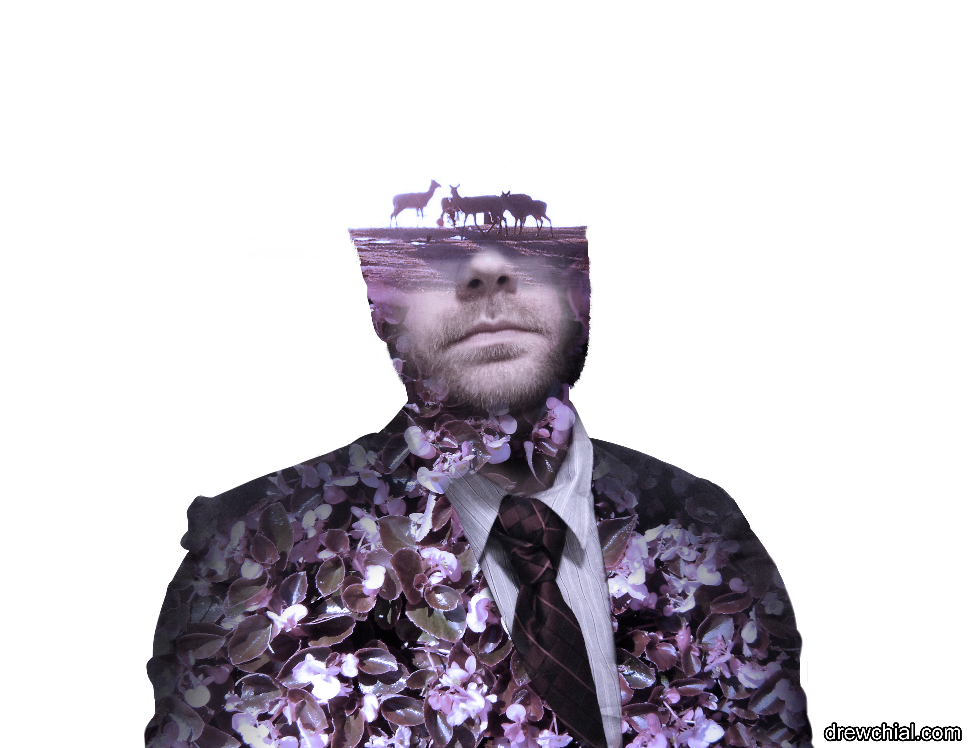 Dream Detective: Flash Fiction about Dreams and Nightmares | Drew Chial