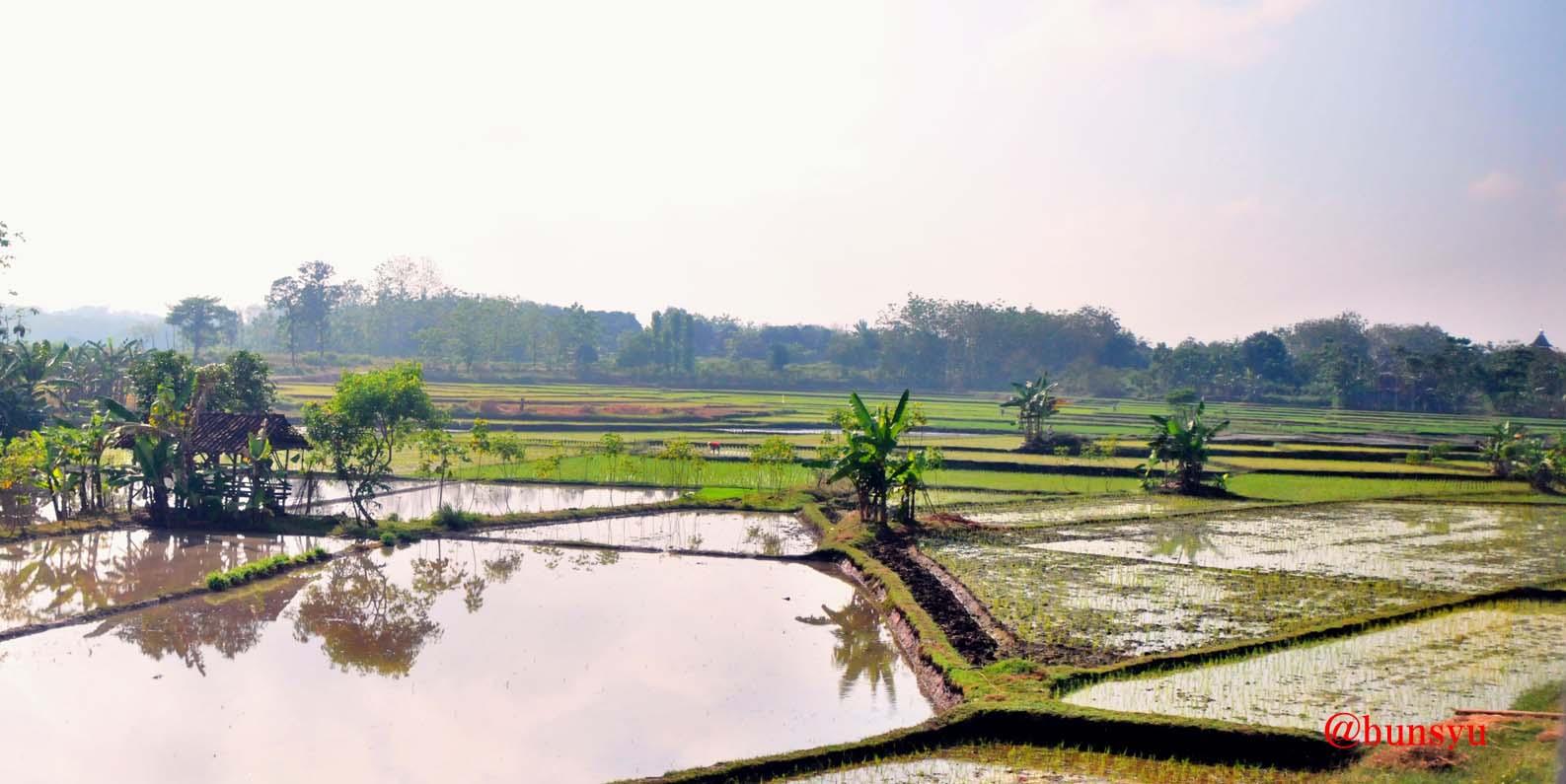 八月だ、もっと熱くなろう！2016年 赤道直下のインドネシアSL撮影の旅 Part7 ソロの併用軌道 ウォノギリ線に乗る・撮る | DRFC-OB デジタル青信号