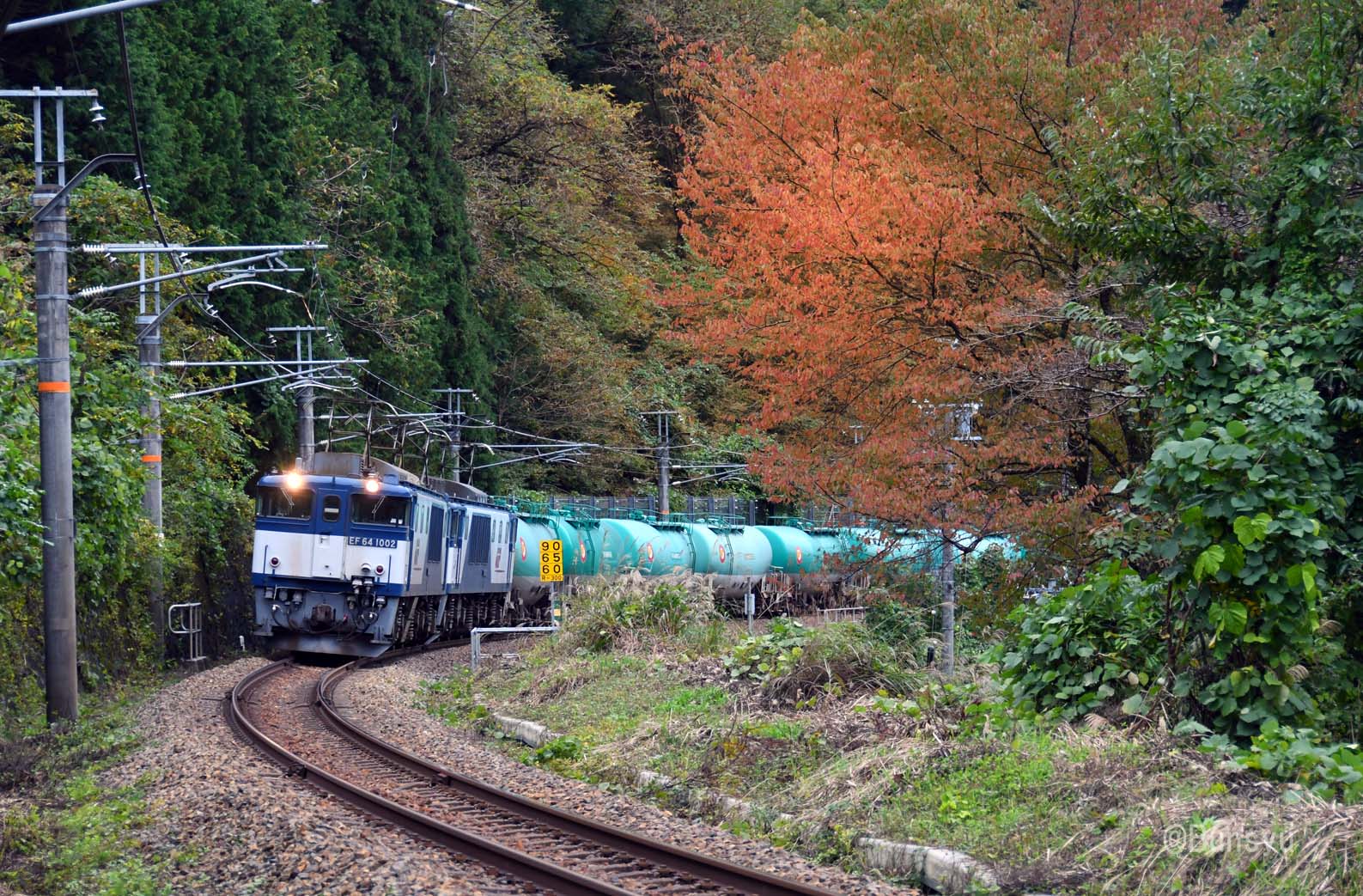 紅葉の赤沢森林鉄道 2017年 Part1 中央西線を撮る | DRFC-OB デジタル青信号