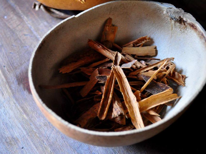 The Heresy of Mayan Mead: Balché - DrinkingFolk