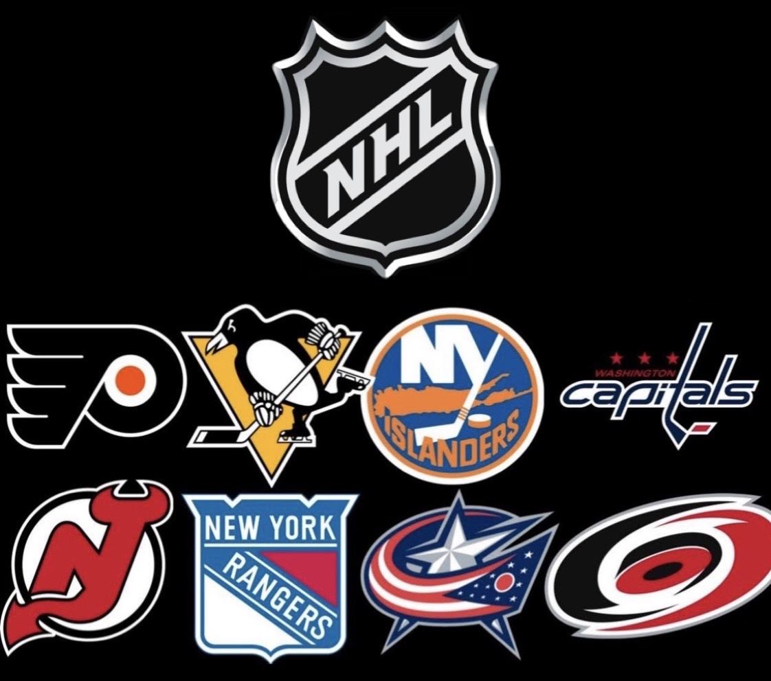 NHL- Metropolitan Division Teams: What can we Expect? - Drive4Five
