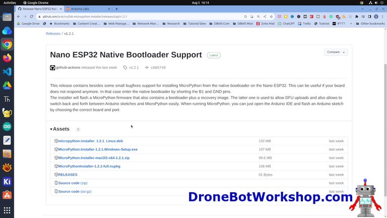 Arduino Nano ESP32 | DroneBot Workshop