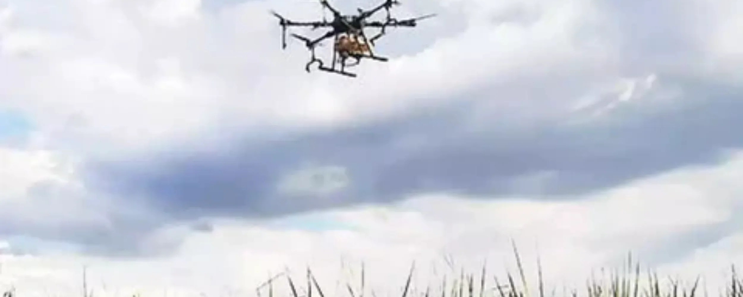 The Use Of Drones In Urban Habitat Fragmentation Studies Dronesdeli