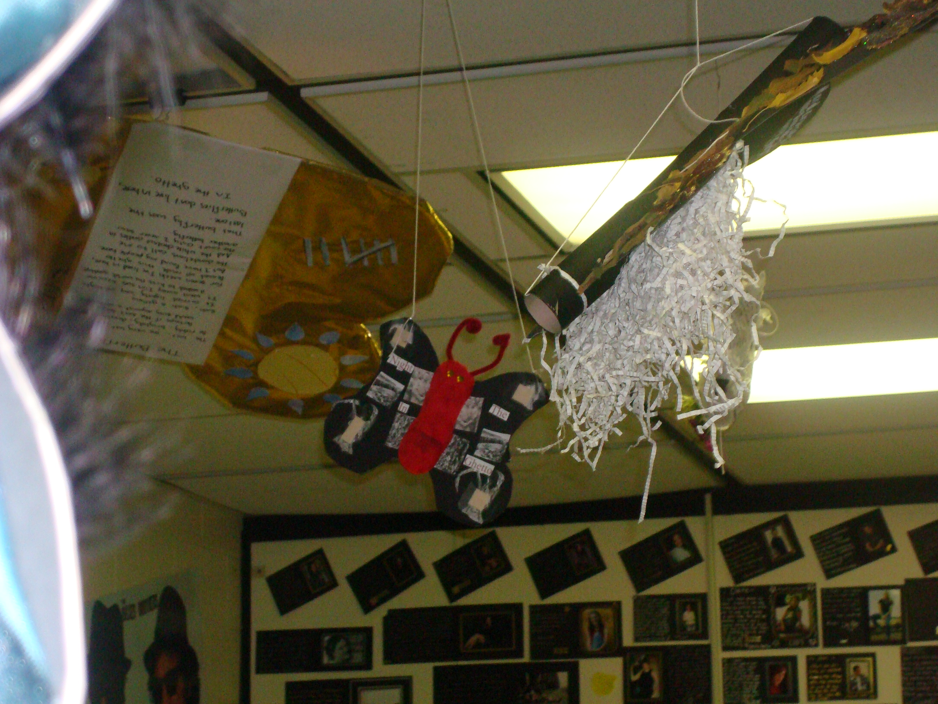 The Butterfly Project | The Doc Is In