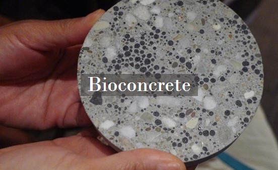 Bioconcrete คอนกรีตมีชีวิต ที่รักษารอยแตกร้าวของตัวเองได้ - Design ...