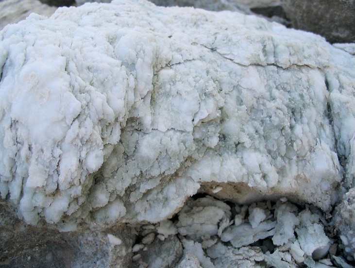 Bioconcrete คอนกรีตมีชีวิต ที่รักษารอยแตกร้าวของตัวเองได้ - Design ...