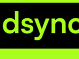Dsync Discover The World S First Ai Powered Real Time Global Workforce
