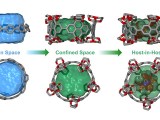 Toc Dumelelab