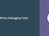 Wordpress Debugging Tools That Find Errors In Minutes Not Hours