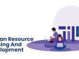 What Are The Aspects Of Human Resource Training And Development