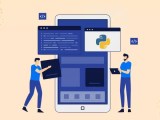 Why Choose Application Development Using Python Only