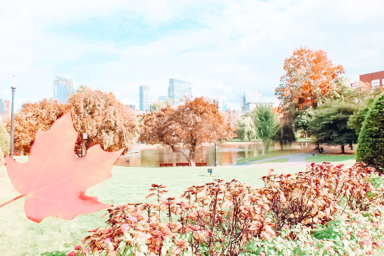 One Week in Boston: Itinerary for 7 Days in Boston - Dymabroad