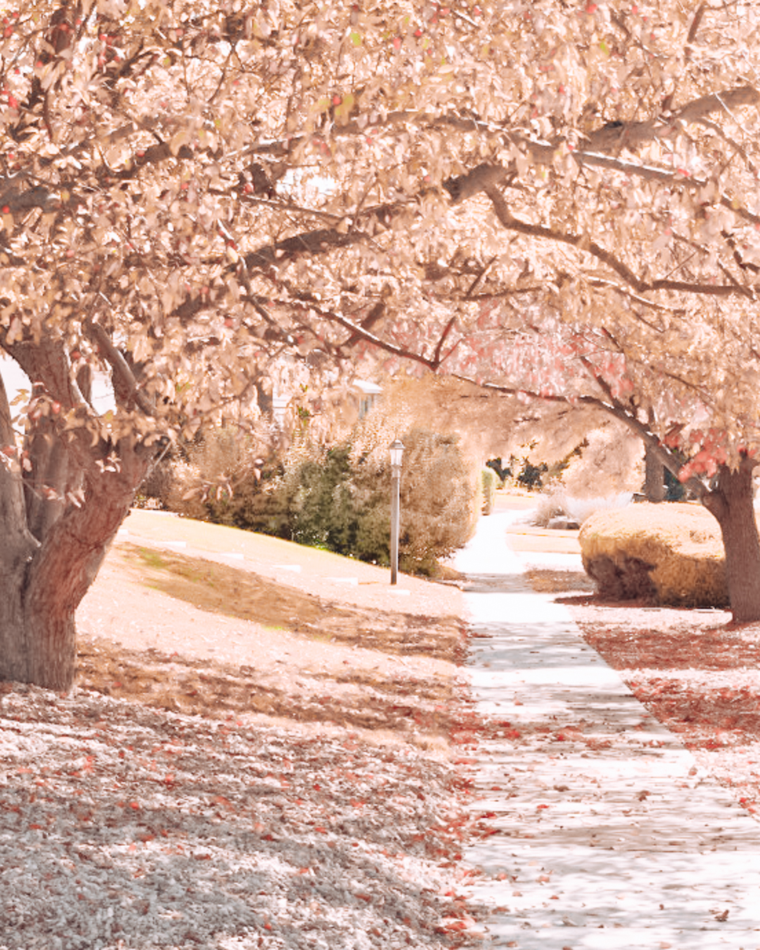 27 Reasons To Visit Denver: Why You Should Visit Denver - Dymabroad