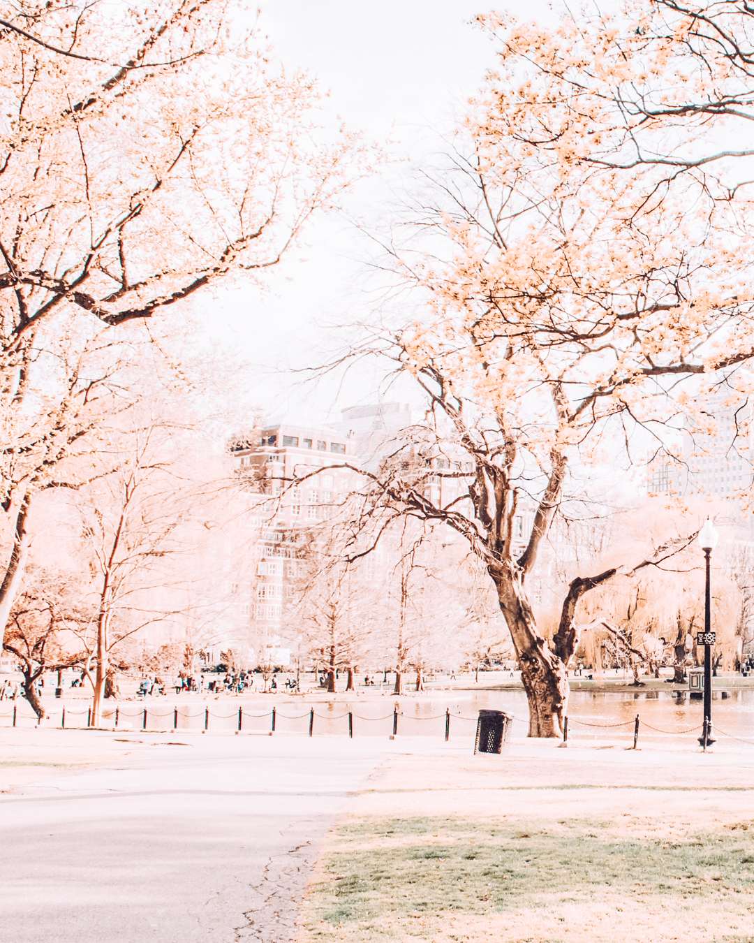 78 Date Ideas in Boston: Romantic Things To Do in Boston - Dymabroad