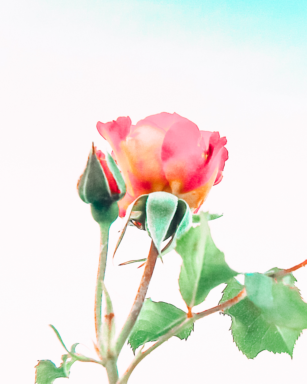 17 Things To Do Alone in Rochester, NY: Solo Travel in Rochester