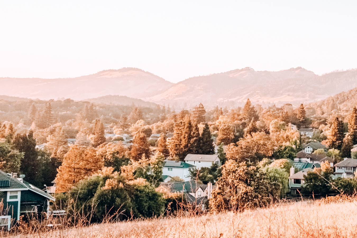 40 Date Ideas in Santa Rosa, CA: Romantic Things To Do