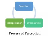 Process Of Perception Elements Role Theoretical Approach