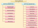On The Job Training Methods