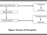 Process Of Perception Elements Role Theoretical Approach