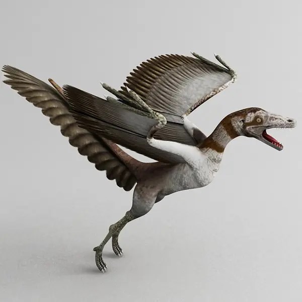 Free donwload 3d model สิ่งมีชีวิตในยุคก่อนประวัติศาสตร์ Archaeopteryx ...