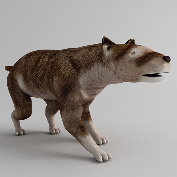 Donwload 3d model Hemicyon | Dynamicwork.co.,ltd