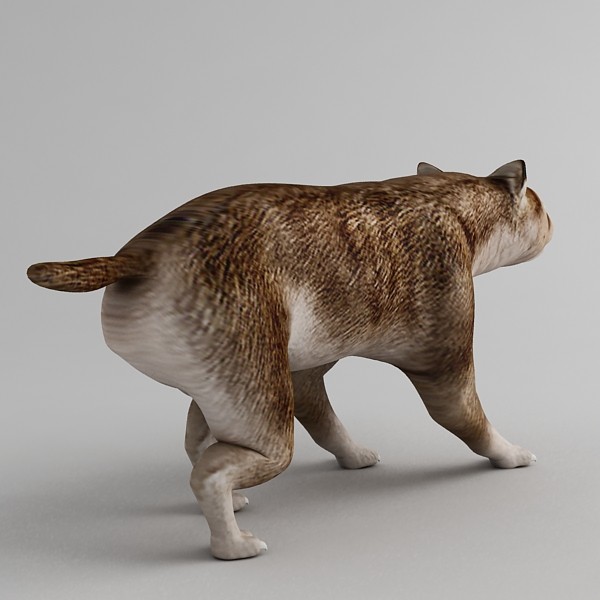 Donwload 3d model Hemicyon | Dynamicwork.co.,ltd