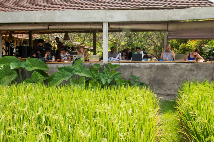 Co-working Space ‘Hubud’ is Bali’s Mecca For Digital Nomads – Iris ...