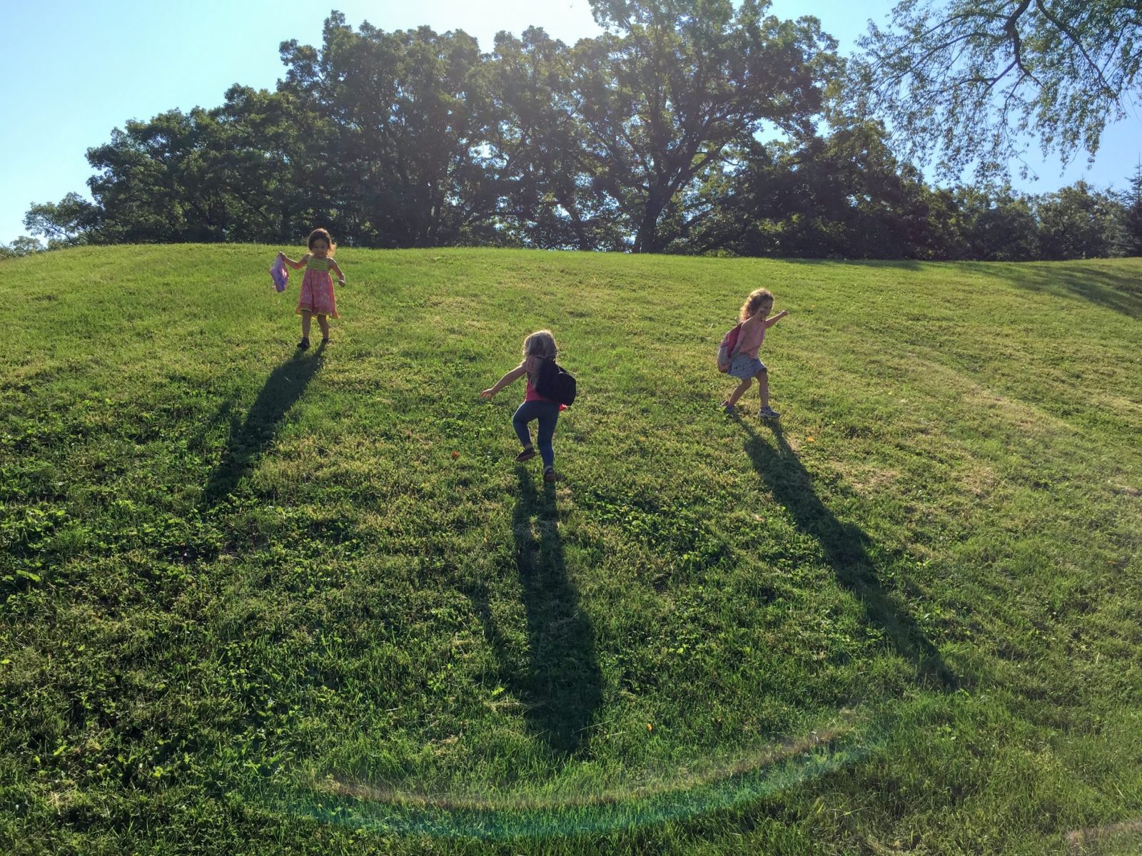 Shadow Play – Early Math Counts
