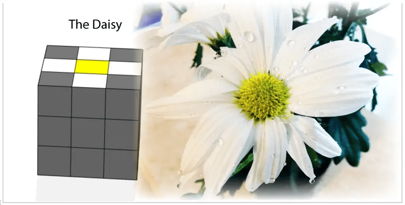 Step 1 – The Daisy – Easiest Solve – Easiest Way to Solve a Rubik's Cube