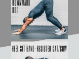 Thoracic Mobility Pdf Thoracic Mobility Exercises Ltax