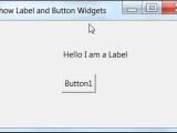 Show Label And Button Widgets Python Tkinter Program Easycodebook