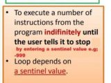 Python Sentinel Controlled Loop Example Program Easycodebook