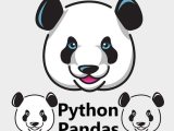 Introduction To Python Pandas Easycodebook
