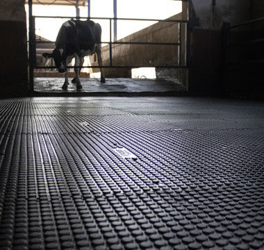 Rubber Matting Walkways Milking Parlours Easyfix Uk