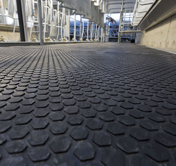 Leaders In Livestock Comfort Easyfix Uk