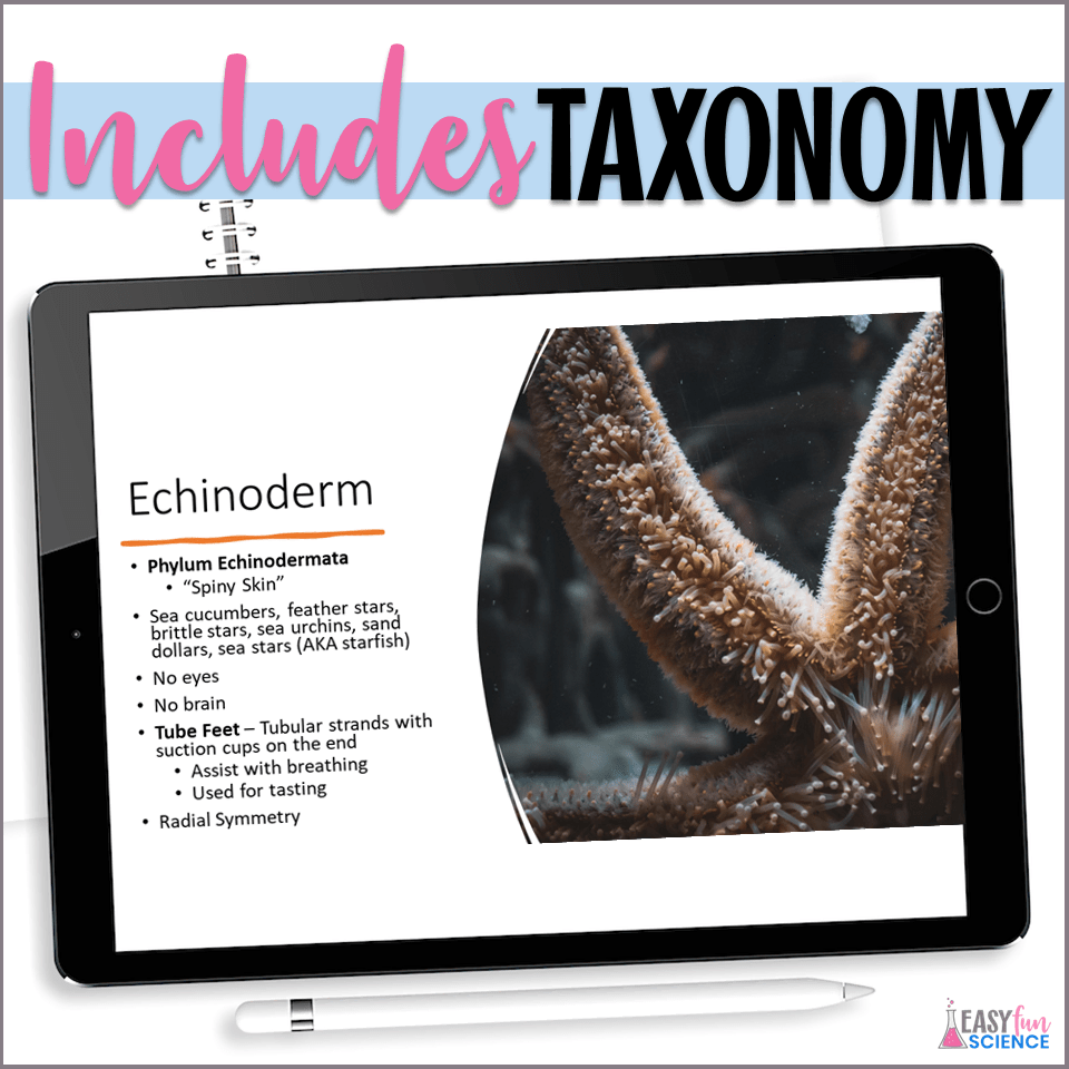 Swimming Creatures Chapter 11 Echinoderms EDITABLE - Easy Fun Science
