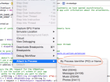 How To Debug Your Ios Extension Easy Native Extensions