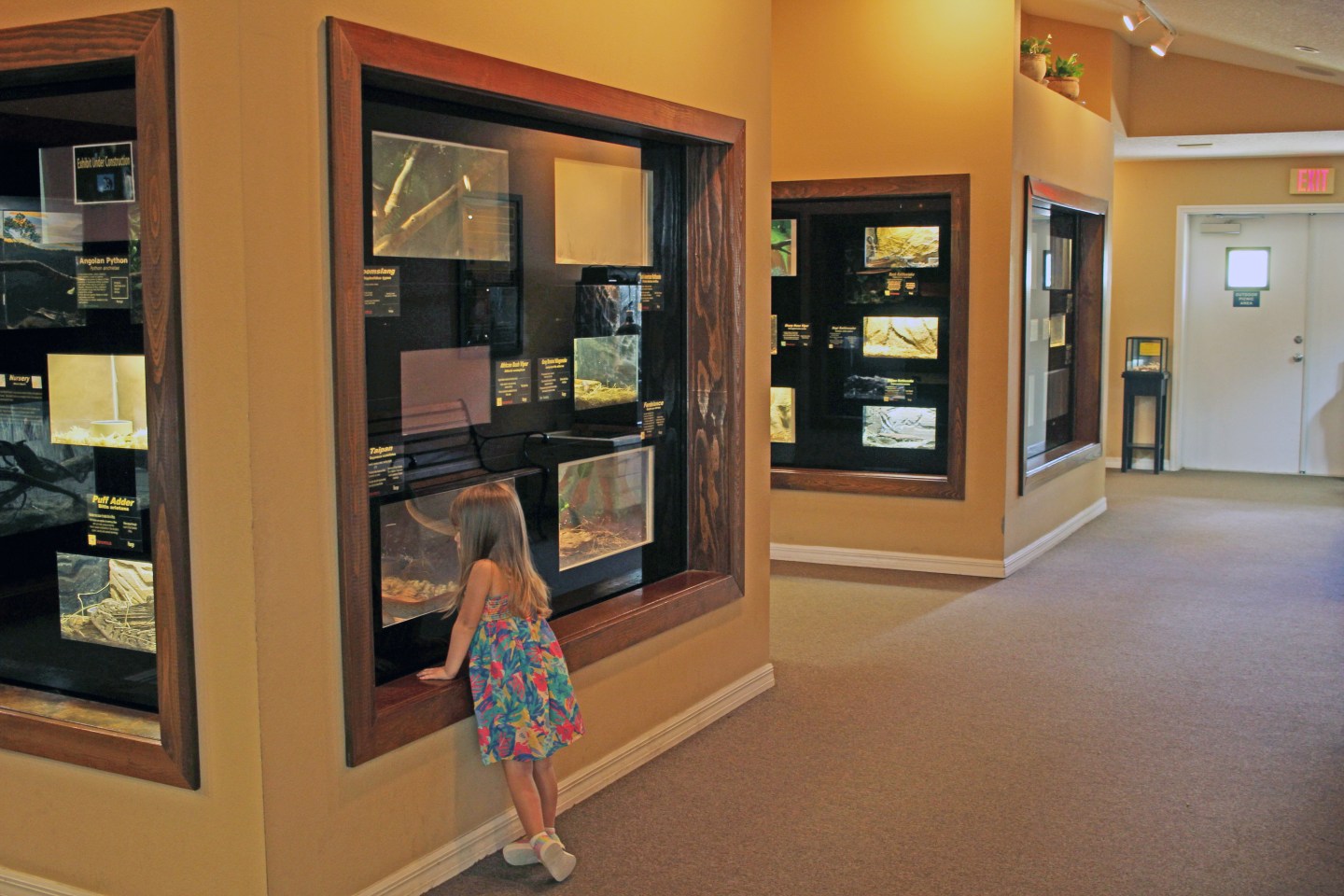 Slither into Summer: The Reptile Discovery Center – East Coast Current