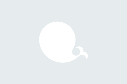 Download Extensions Apache Echarts